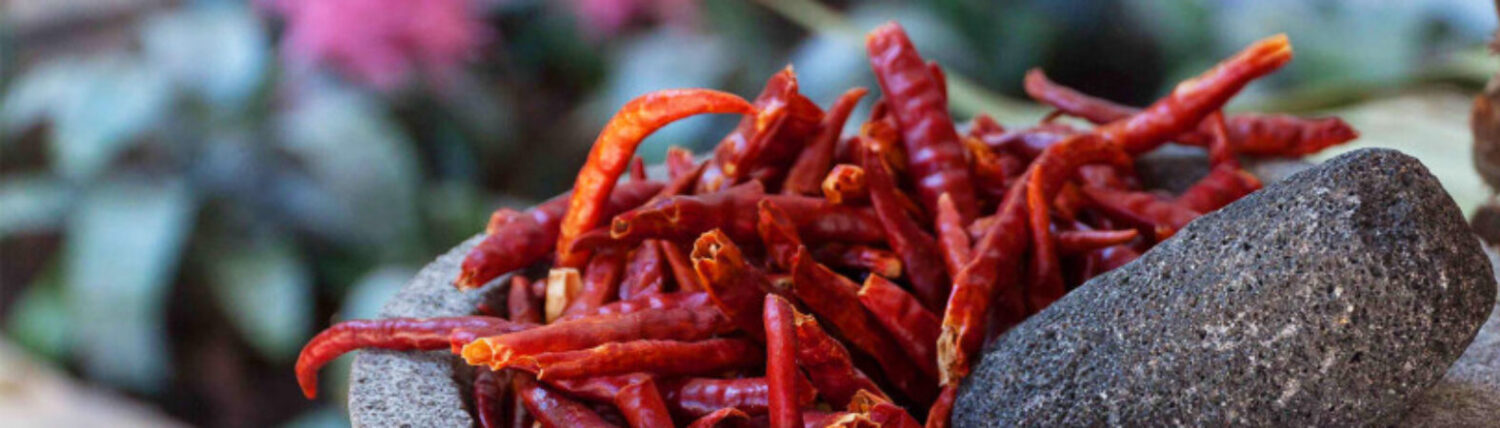 Origen de la palabra COCOL y su receta. – DELICIASPREHISPANICAS.COM