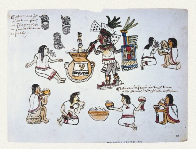 Historia del Códice Magliabechiano – Cultura y Delicias Prehispánicas