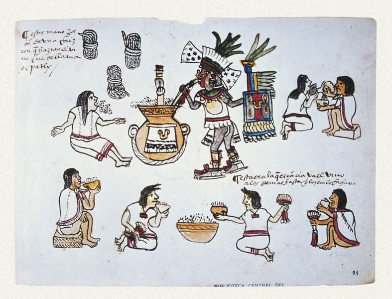 Historia del Códice Magliabechiano – Cultura y Delicias Prehispánicas