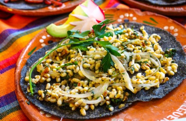 Origen de la palabra ESCAMOLES – Cultura y Delicias Prehispánicas